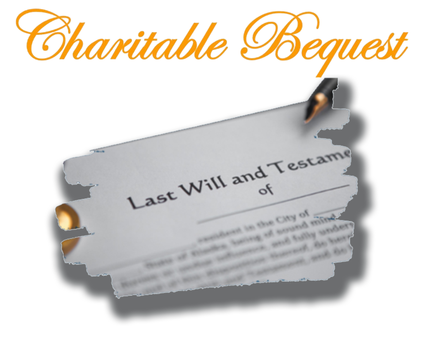 Through our no-cost tools,